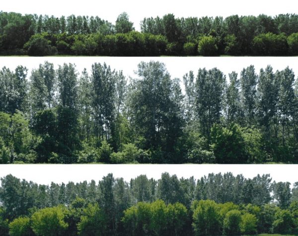 13 Free Trees Backdrop For Architecture • Blender 3d Architect